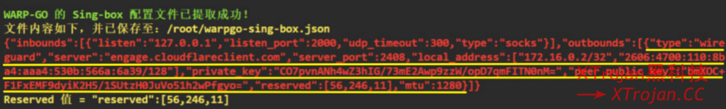 在NekoRay使用WireGuard WARP节点 - XTrojan黑科技