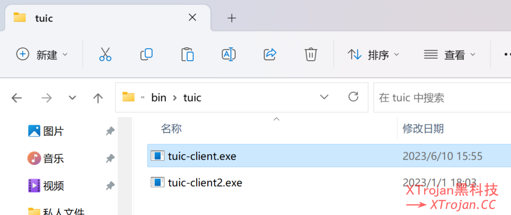 使用一键脚本部署 tuic v5 节点的图文教程 - XTrojan黑科技