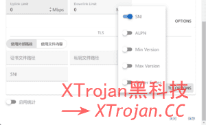 S-UI面板修改用户名和密码及搭建 Hysteria / Hysteria2 节点的图文教程 - XTrojan黑科技